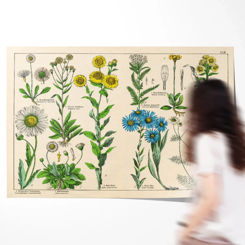 Vintage Posters - CetArt